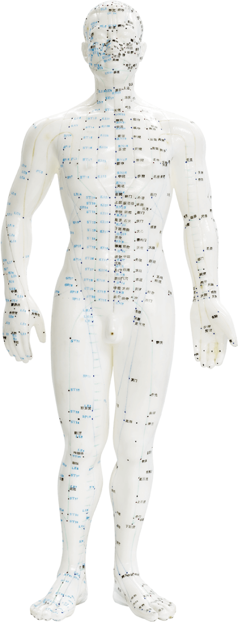 Acupressure Training Circle