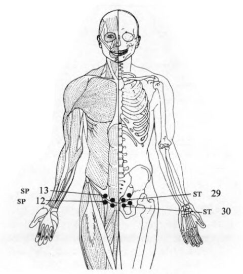 Acu-Yoga for Pelvic Problems | Acupressure | Certified Online Training ...